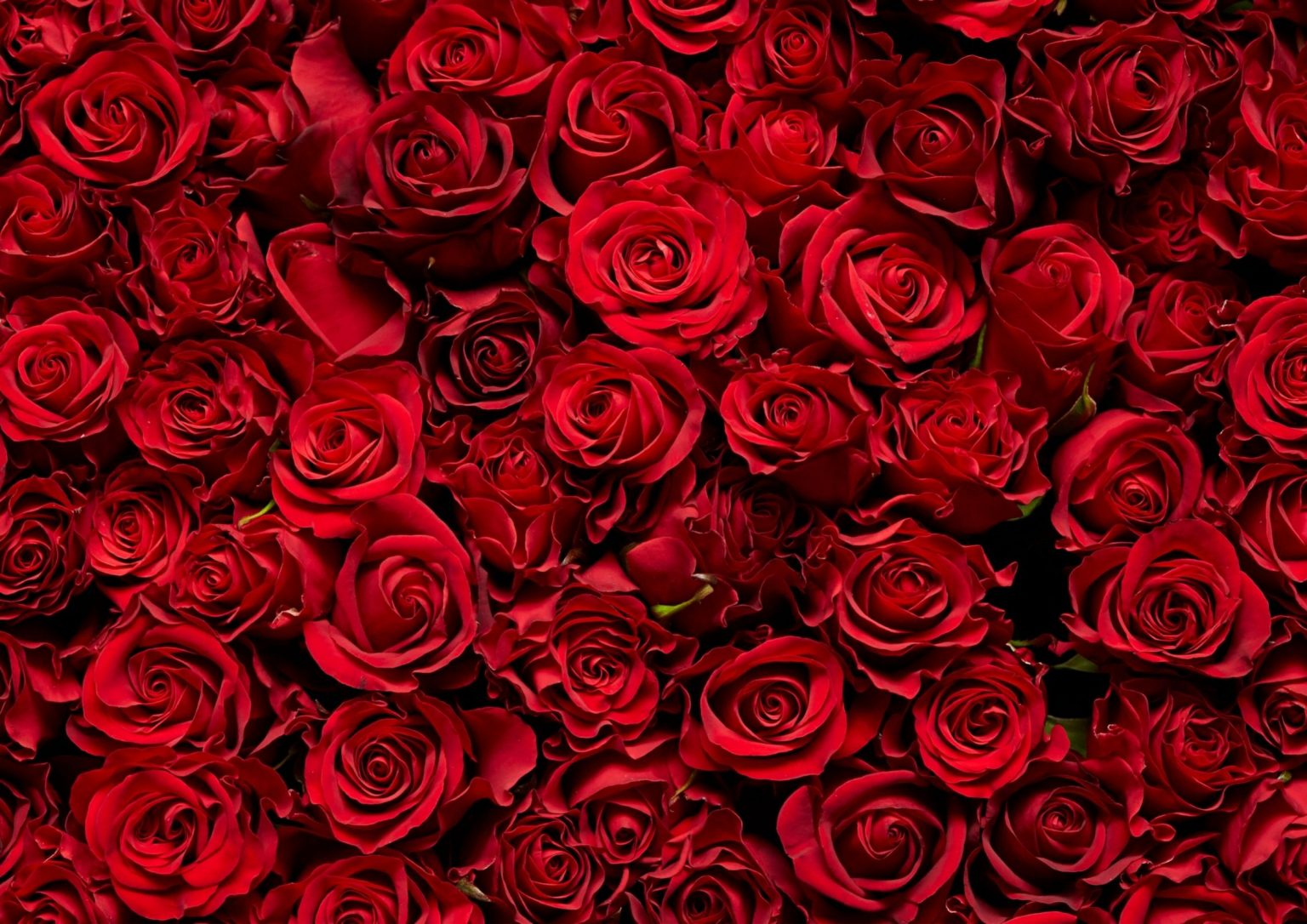 Mikrosement på badet: Slik legger du det selv | Hjem Og Hage