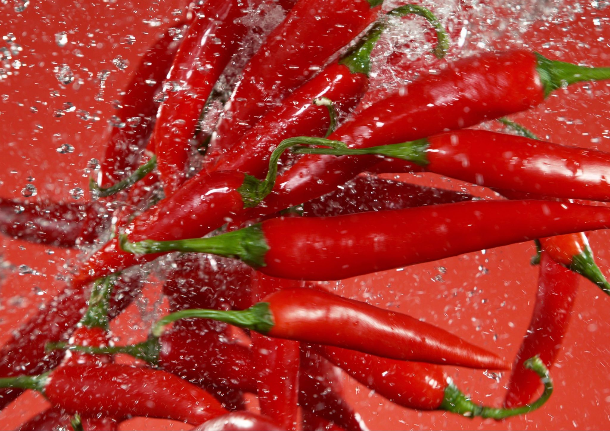 Er det en god idé å fryse chili? | Hjem Og Hage