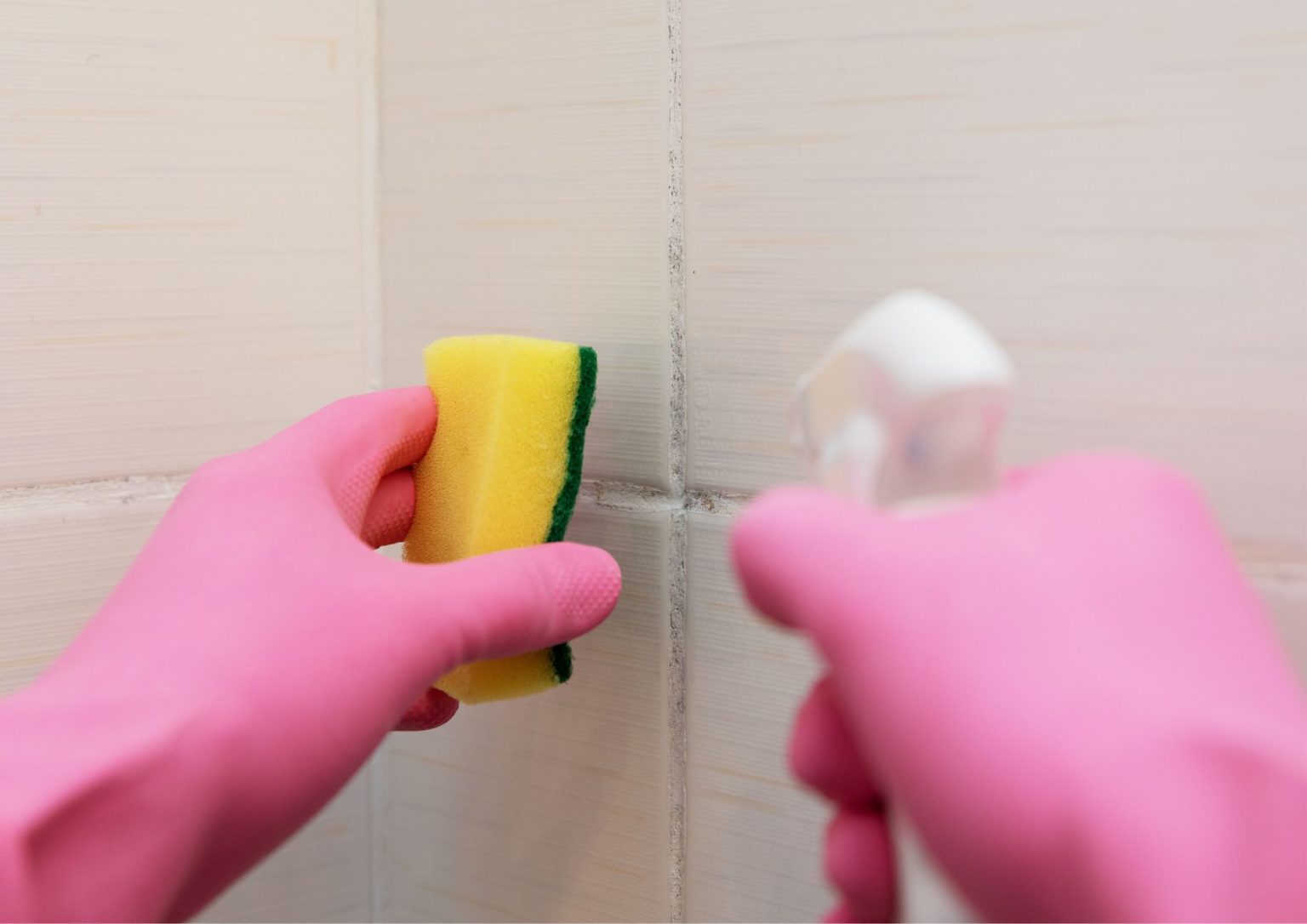 Hvordan fjerne muggsopp? Informasjon og råd | Hjem Og Hage