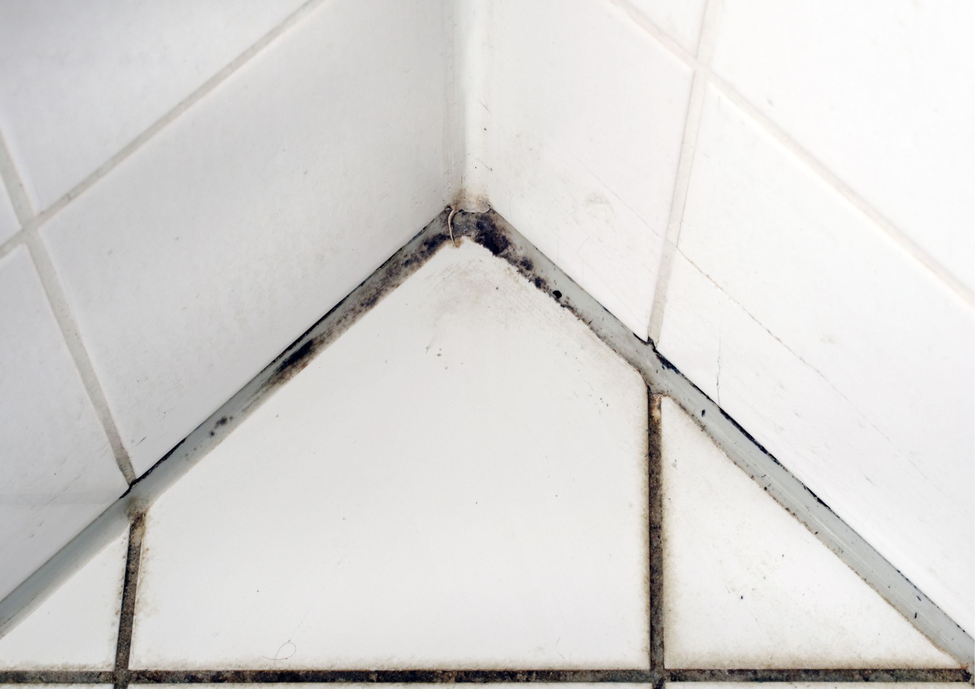 Male fliser på badet: En enkel guide | Hjem Og Hage