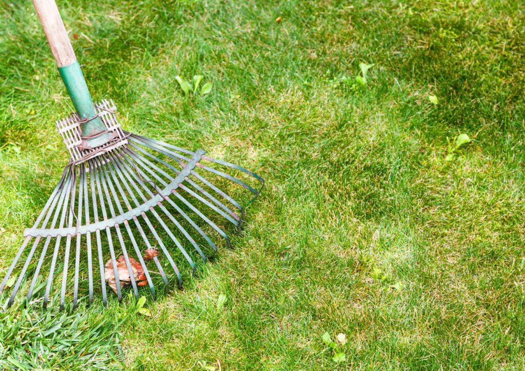 Eddik mot ugress: Fungerer det? | Hjem Og Hage